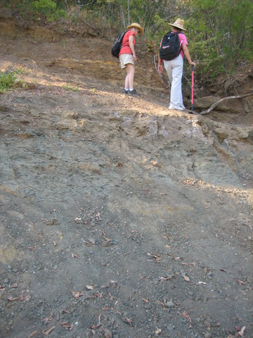 Houston Geological Society | explore our connections